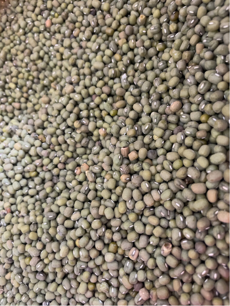 Ndengu Makueni 25kg Bag - Homeserve Express